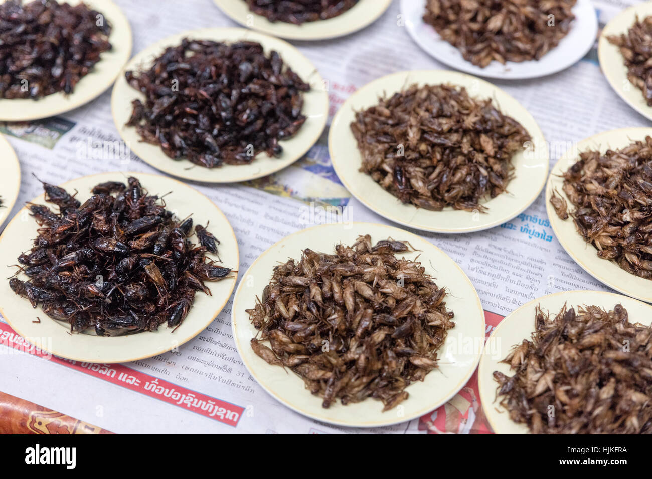 Kitchen ingredient insects hi-res stock photography and images - Alamy