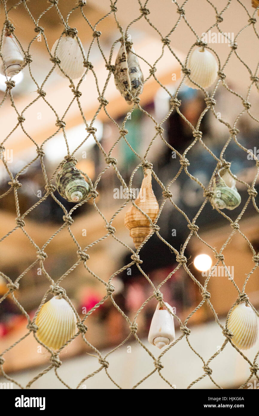 Various types of little seashells attached on the net Stock Photo - Alamy