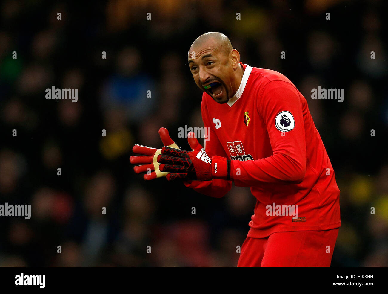 Watford goalkeeper Heurelho Gomes Stock Photo - Alamy