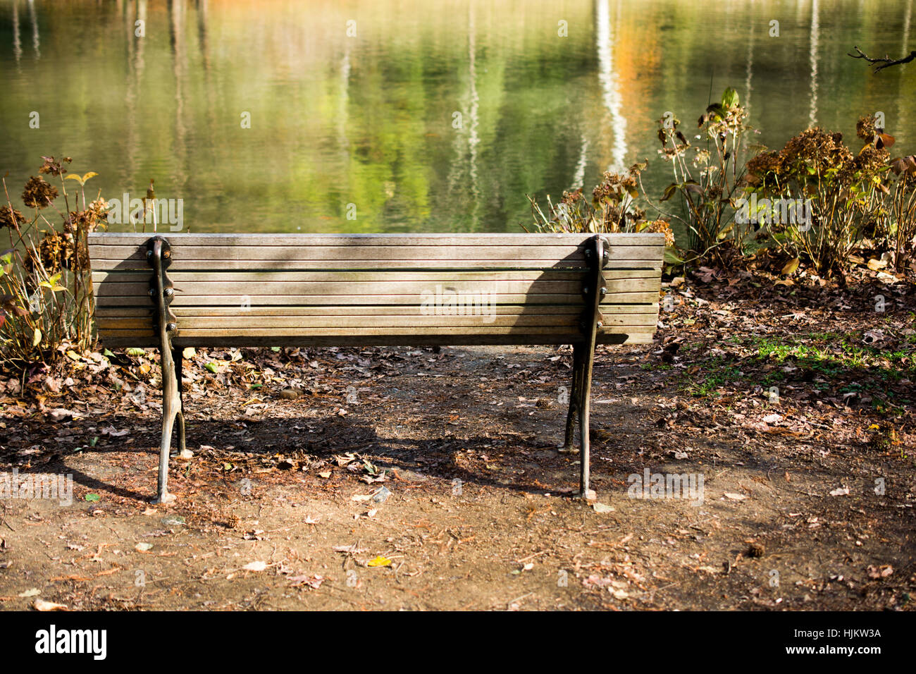 Wooden park bench at a park Stock Photo - Alamy