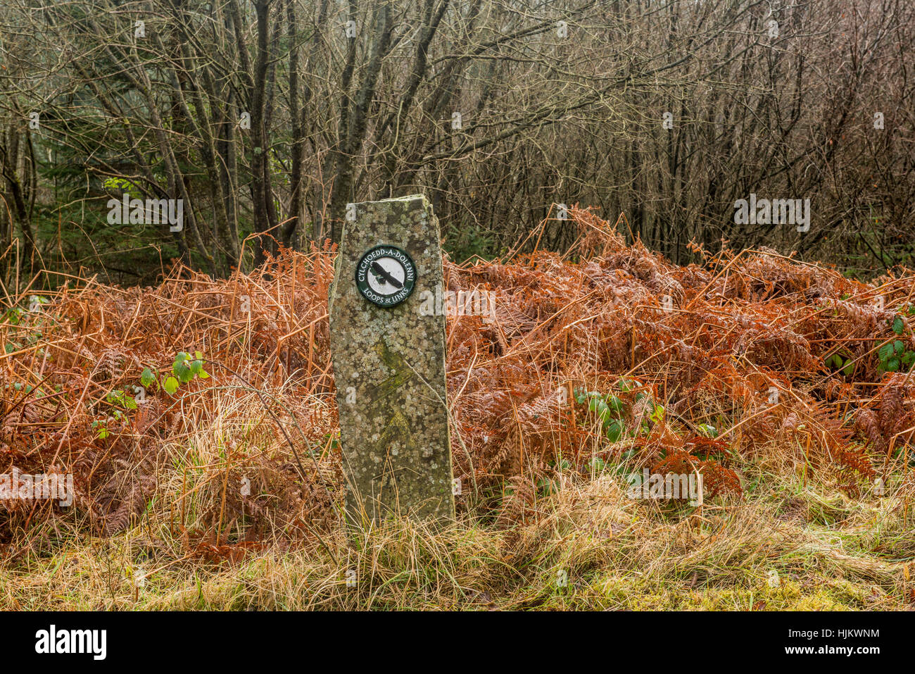 Llanwonno mountain hi-res stock photography and images - Alamy