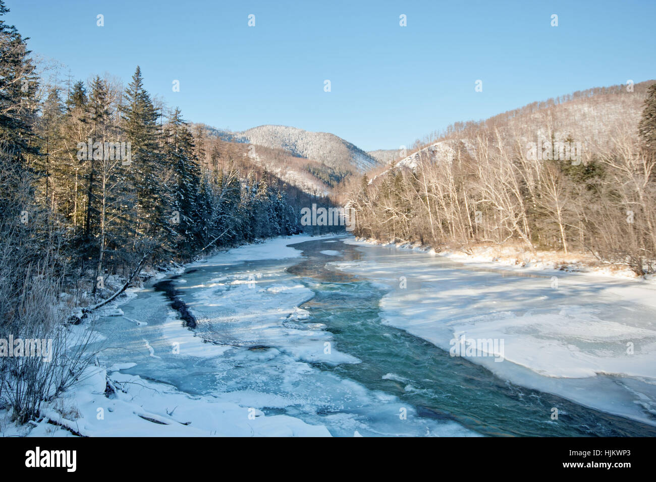 Taiga Climate In Winter