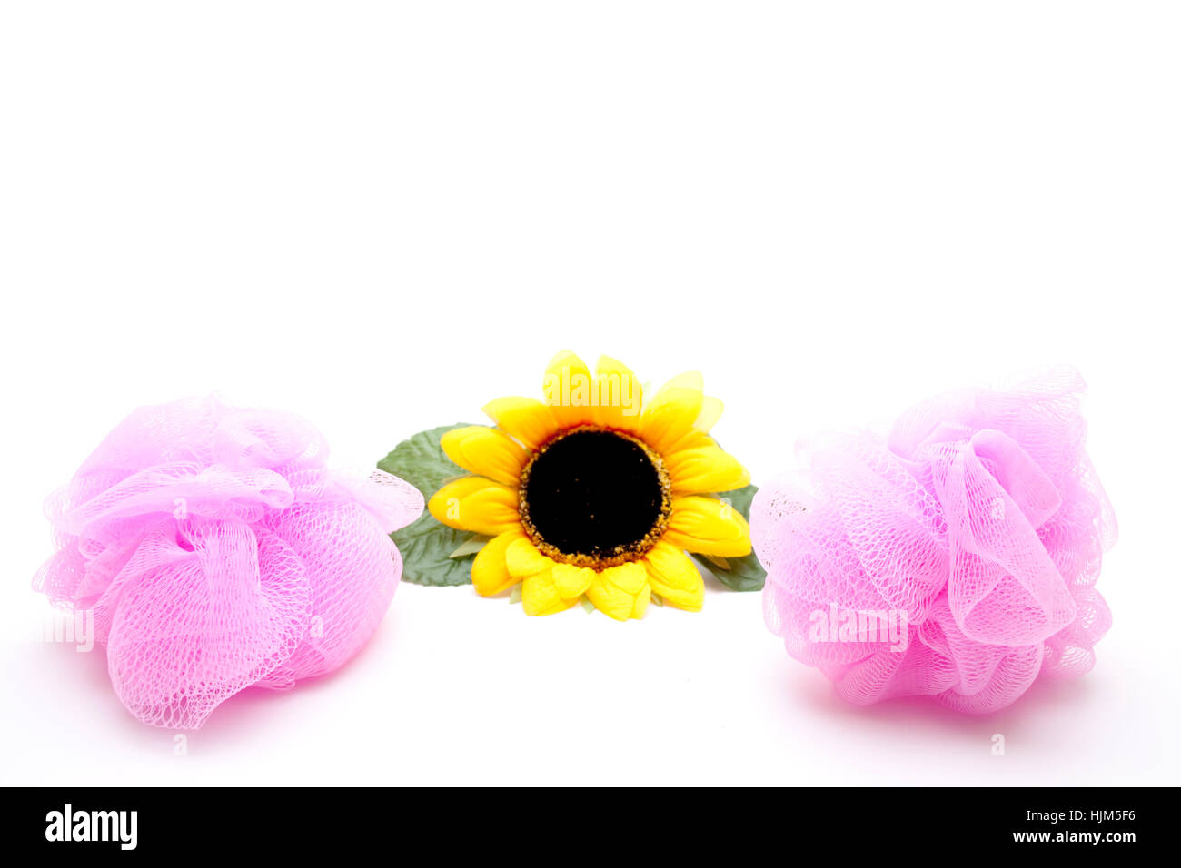 Power sponge Cut Out Stock Images & Pictures - Alamy