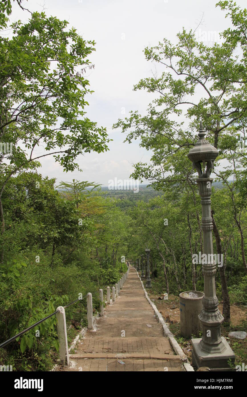 stair, step, tier, environment, enviroment, tree, animal, flower, plant ...