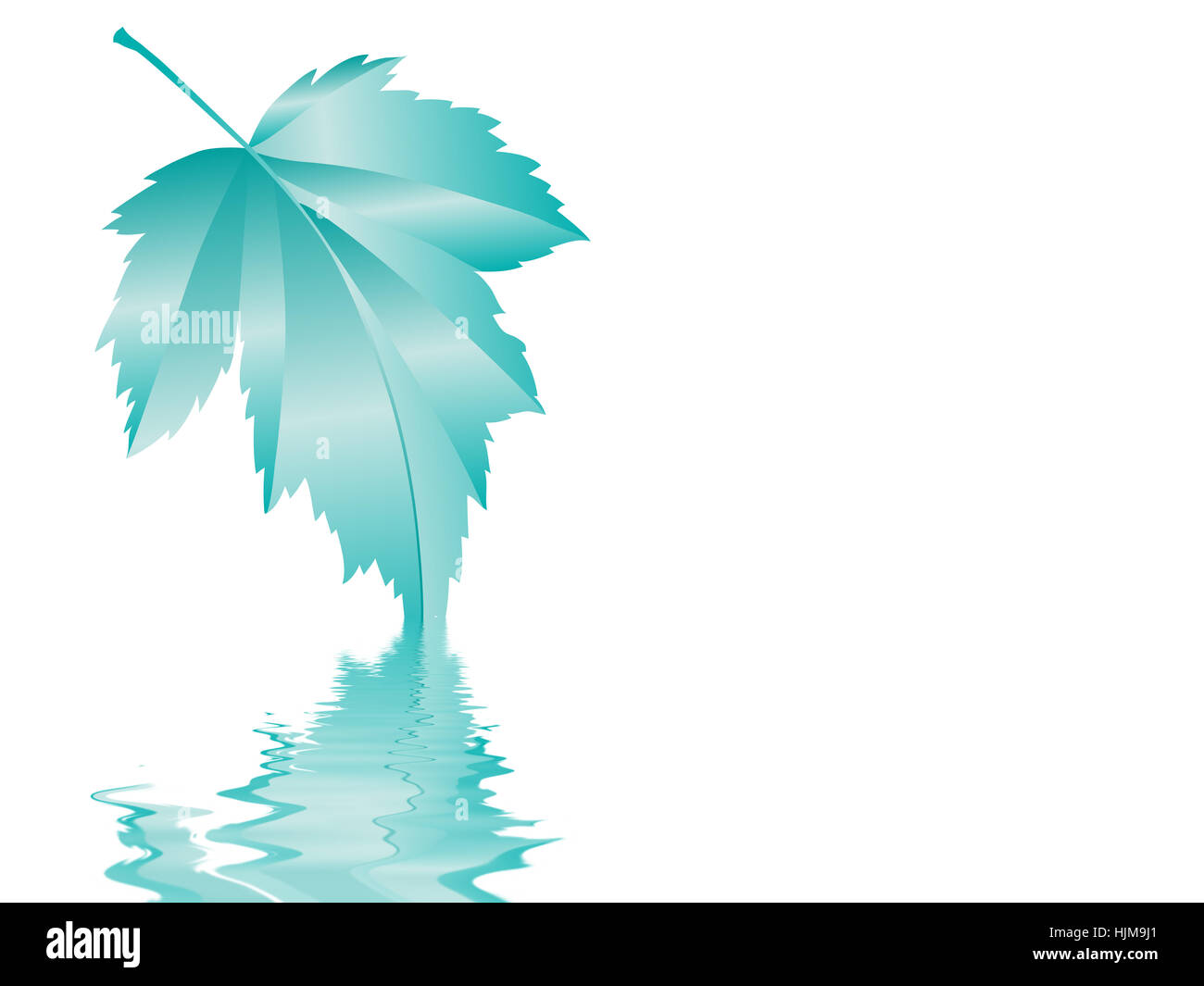 leaf, environment, enviroment, environmental protection, plant, nature ...