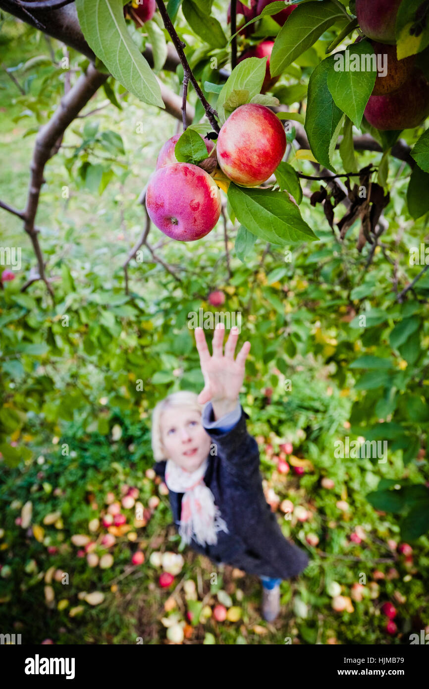 close, pick, humans, human beings, people, folk, persons, human, human ...