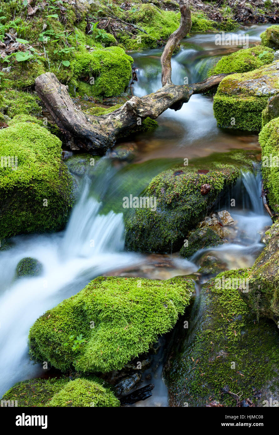 stream, waterfall, spring, moss, creek, fresh, water, nature, beautiful ...