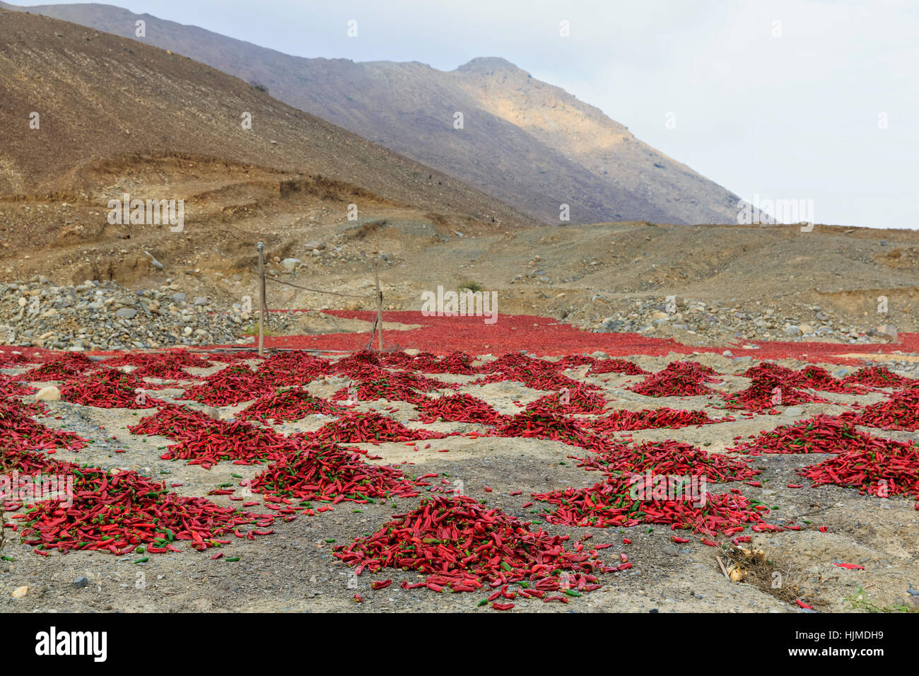 Pile of chili pods hi-res stock photography and images - Alamy