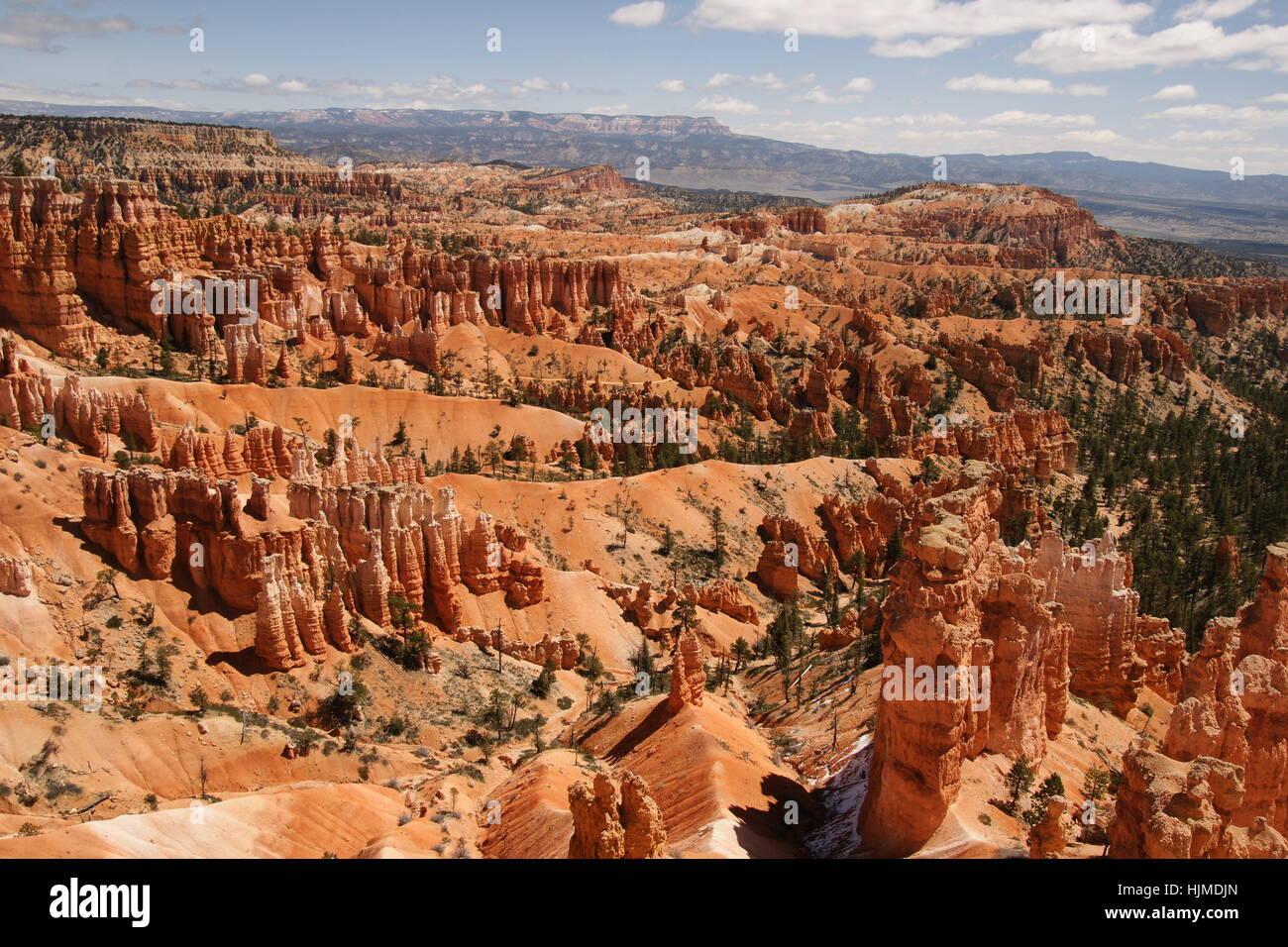 national park, usa, america, amphitheater, amphitheatre, tree, trees ...