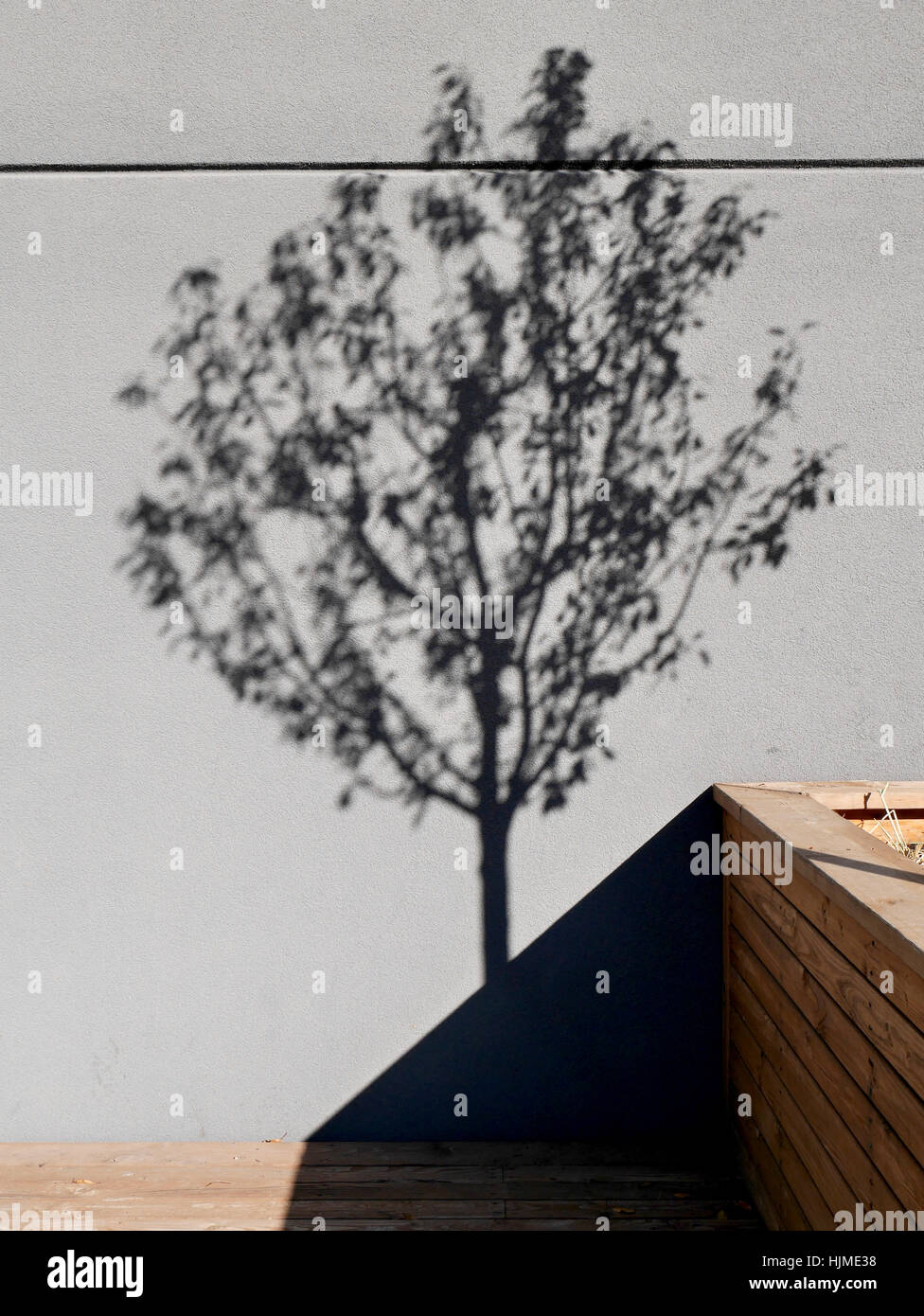 Wall with shadow of tree Stock Photo - Alamy