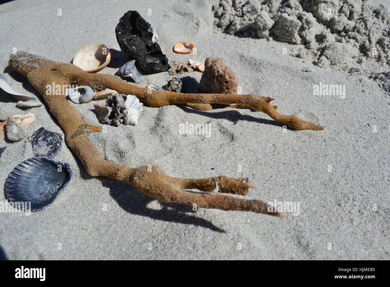 Beach finds hi-res stock photography and images - Alamy