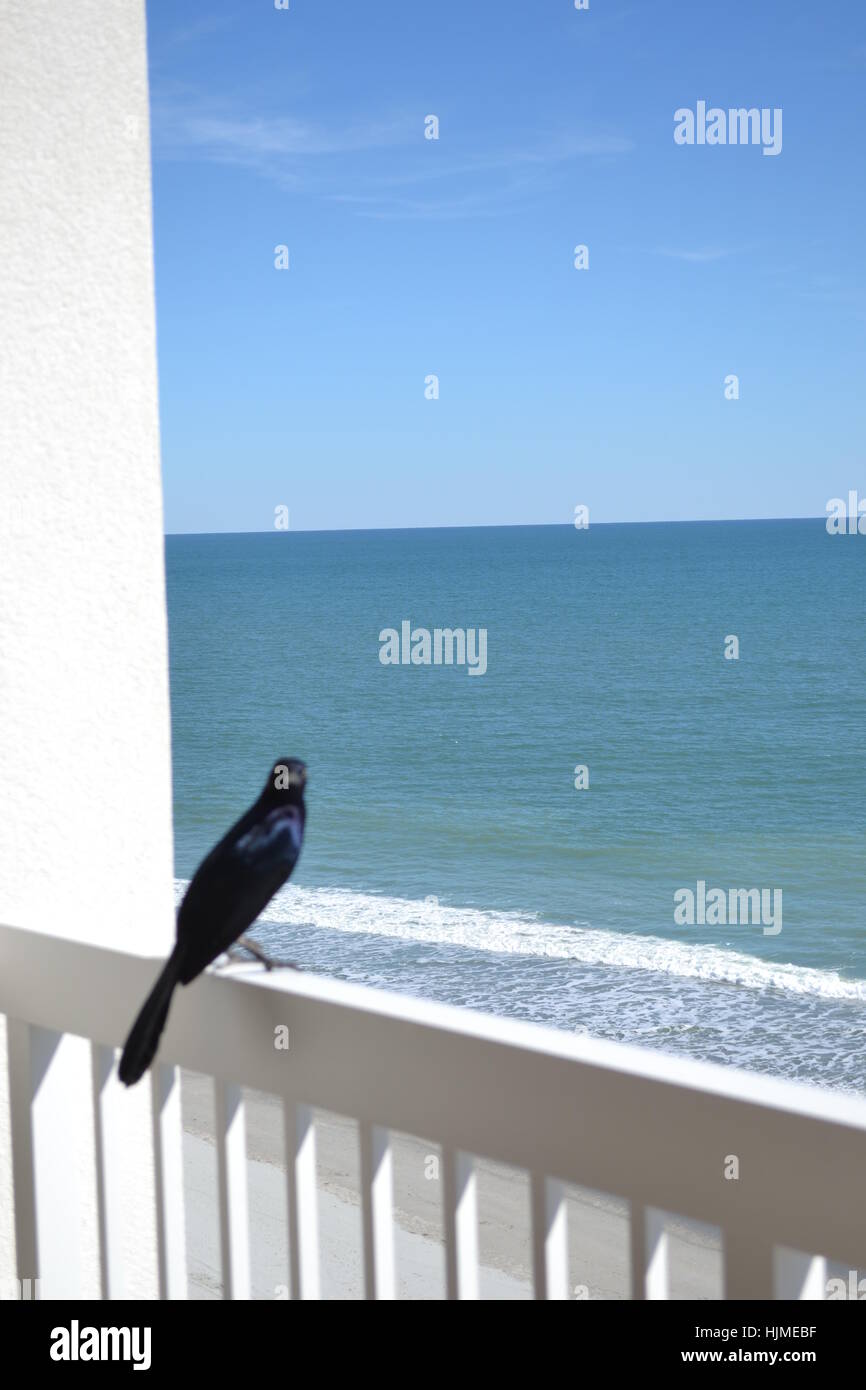 view of ocean Stock Photo - Alamy