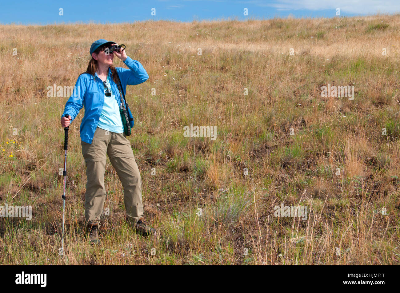 Birding along Horned Lark Trail, Zumwalt Prairie Preserve, Oregon Stock ...