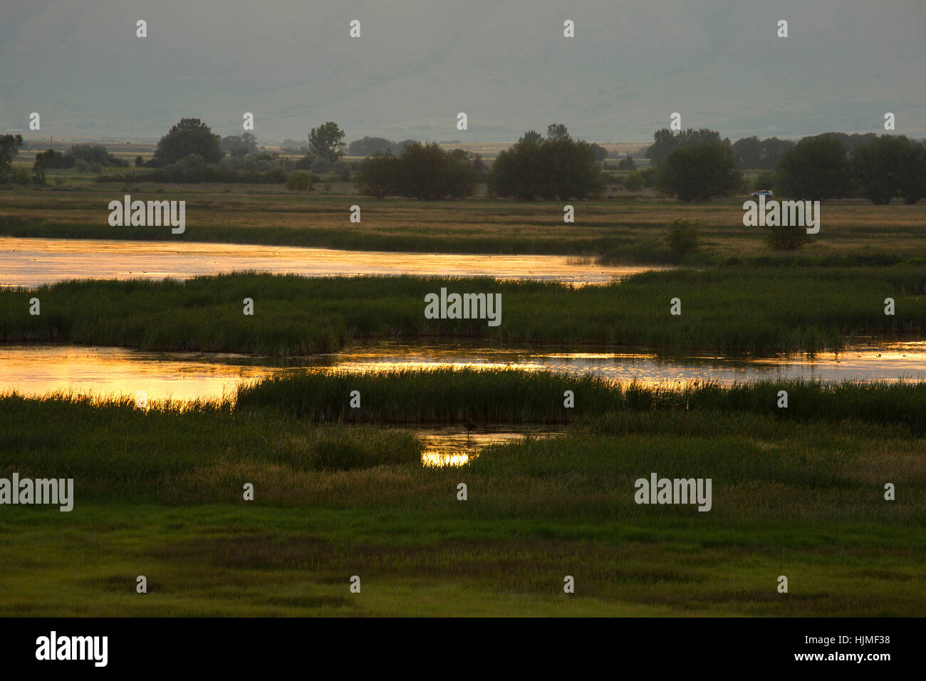 Marsh sunrise, Ladd Marsh Wildlife Area, Oregon Stock Photo - Alamy
