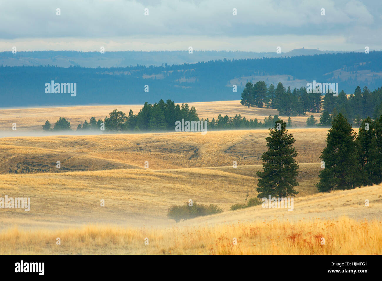 Zumwalt Prairie, Wallowa County, Oregon Stock Photo - Alamy