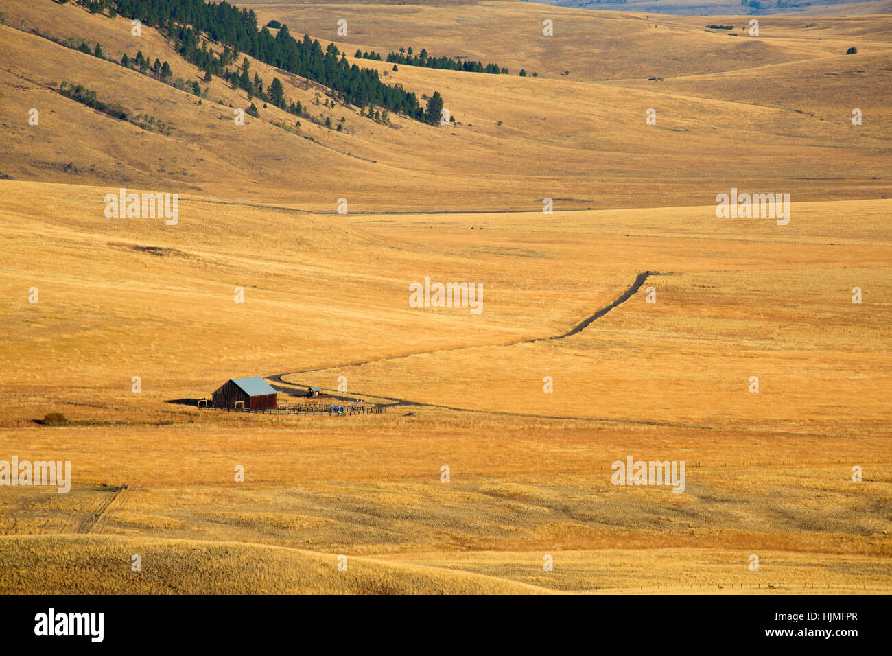 Prairie grassland zumwalt prairie preserve hi-res stock photography and ...