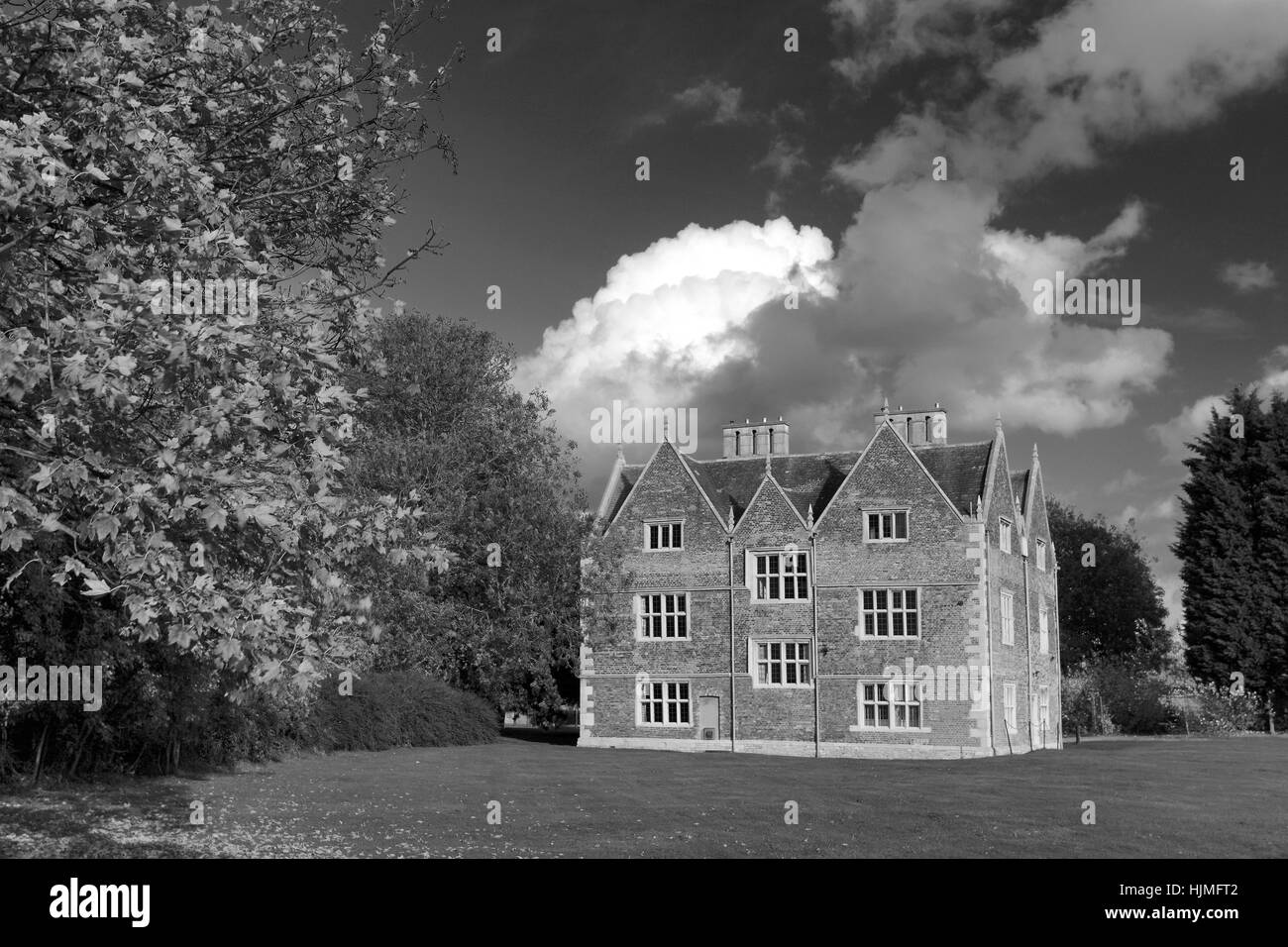 Red centres Black and White Stock Photos & Images - Alamy