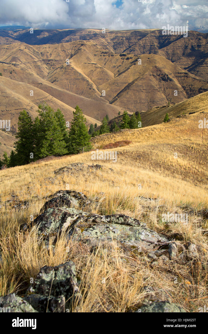 Camp Creek Canyon from Canyon Vista Trail, Zumwalt Prairie Preserve ...