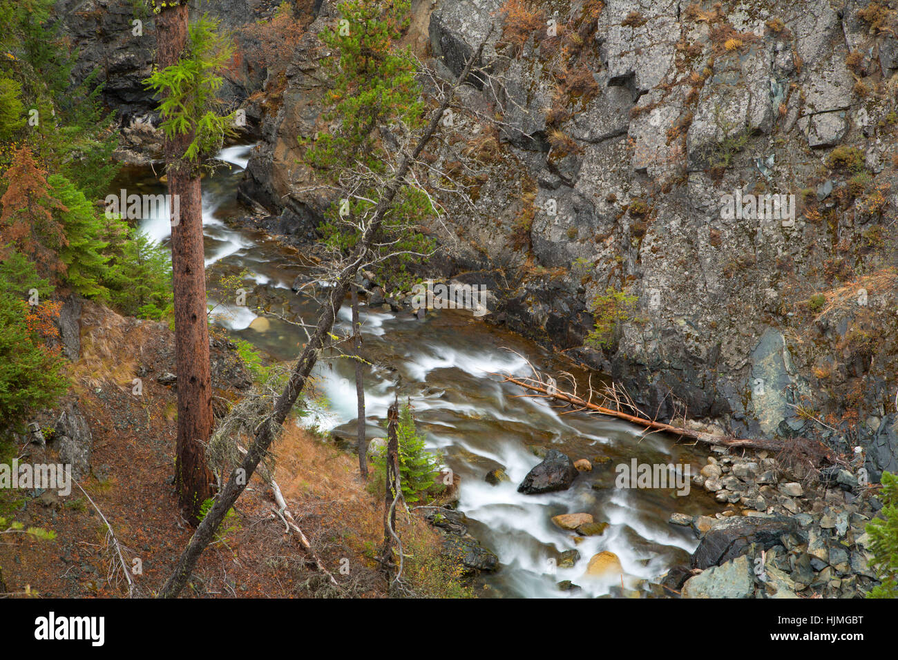 Chief Joseph Mountain Trail High Resolution Stock Photography and ...