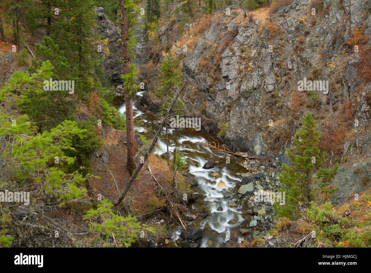 Wallowa River gorge along Chief Joseph Mountain Trail, Wallowa-Whitman ...
