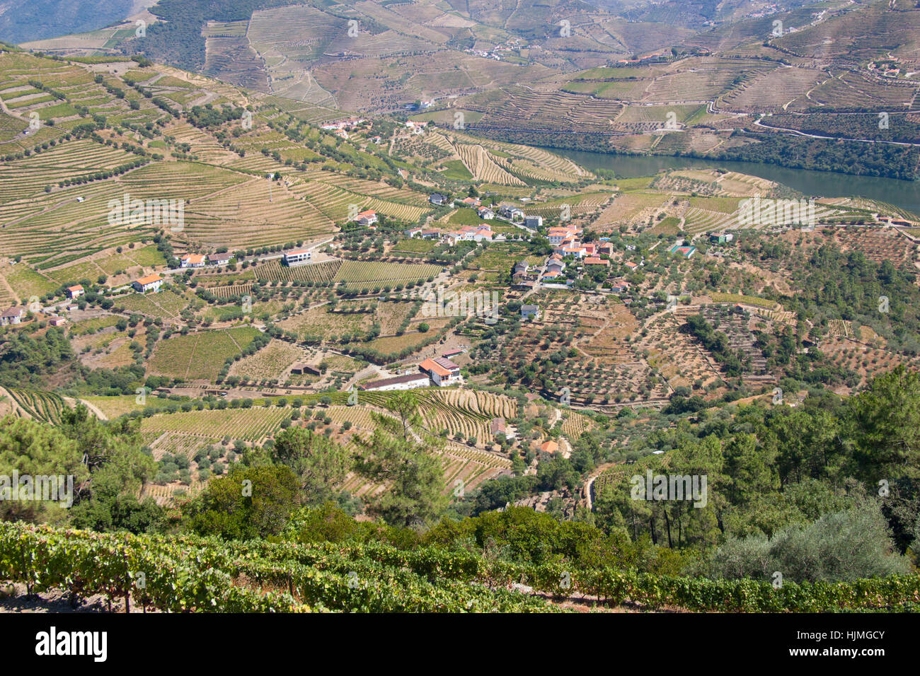 Vineyards, Douro Valley, UNESCO World Heritage Site, Portugal Stock ...