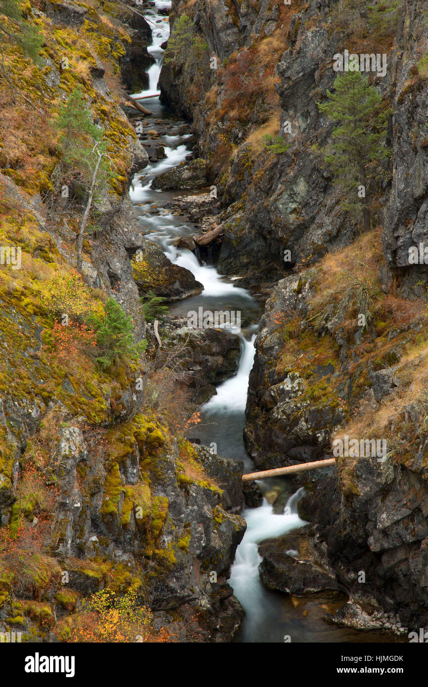 Wallowa River gorge along Chief Joseph Mountain Trail, Wallowa-Whitman ...