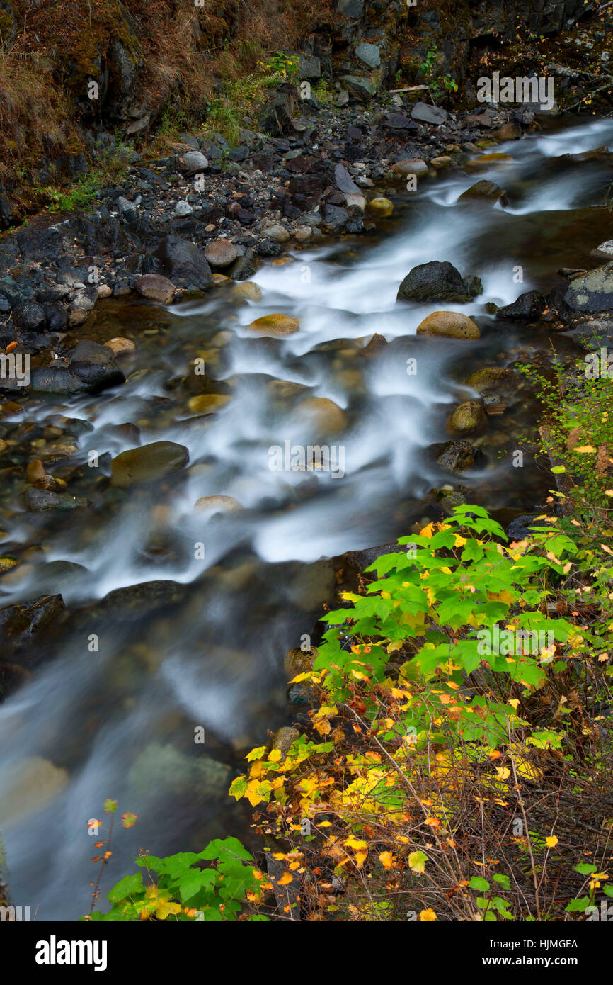 Chief Joseph Mountain Trail High Resolution Stock Photography and ...