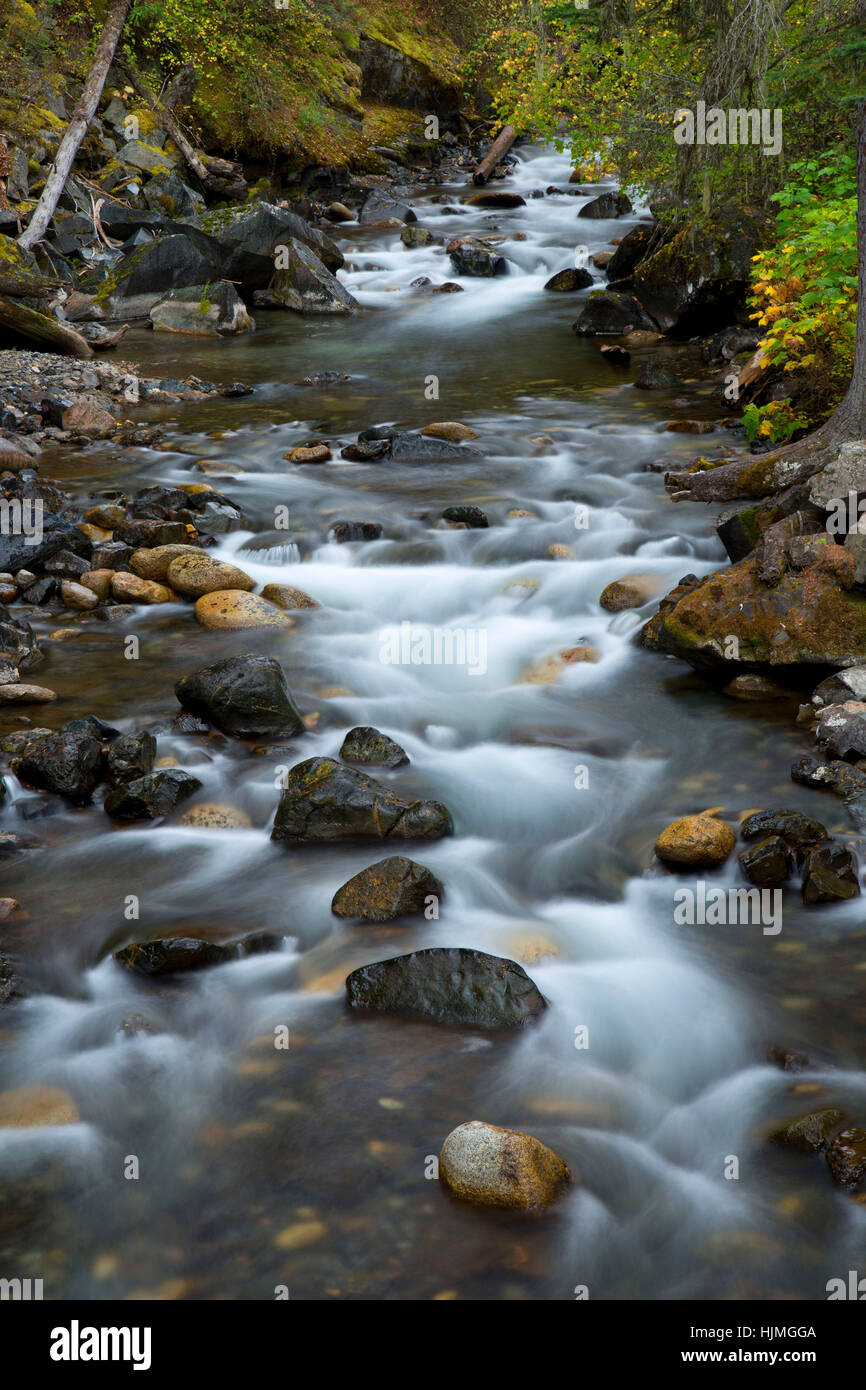 Wallowa River along Chief Joseph Mountain Trail, Wallowa-Whitman ...