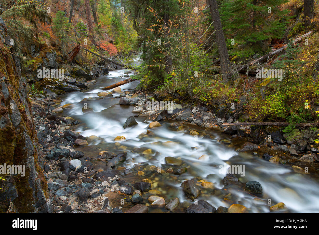Wallowa River along Chief Joseph Mountain Trail, Wallowa-Whitman ...