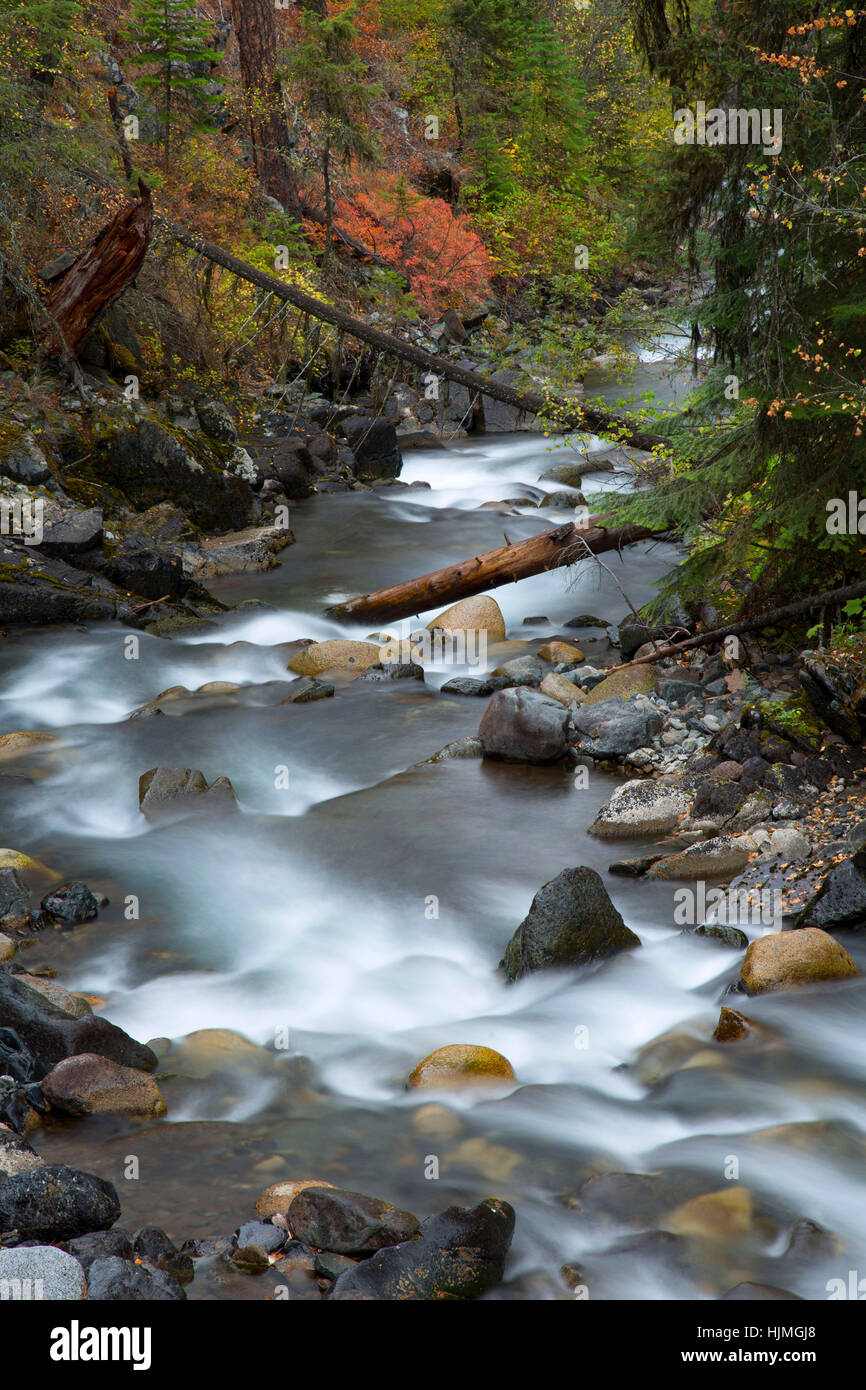 Wallowa River along Chief Joseph Mountain Trail, Wallowa-Whitman ...