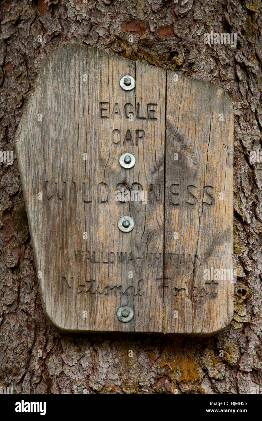 Eagle Cap Wilderness Boundary sign, Lostine Wild and Scenic River ...