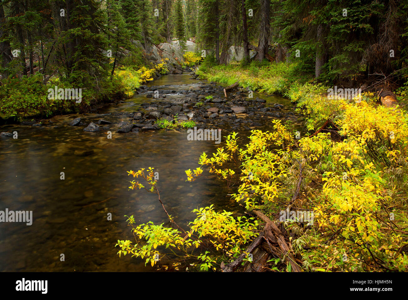 Lostine River along East Fork Lostine River Trail, Eagle Cap Wilderness ...