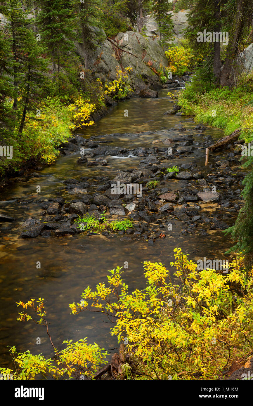 Lostine River along East Fork Lostine River Trail, Eagle Cap Wilderness ...
