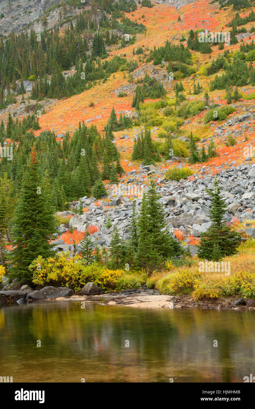 Lostine River along East Fork Lostine River Trail, Eagle Cap Wilderness ...