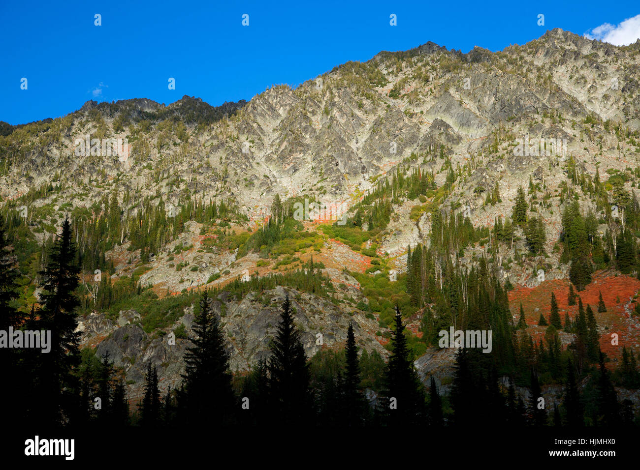 Subalpine slope along East Fork Lostine River Trail, Eagle Cap ...