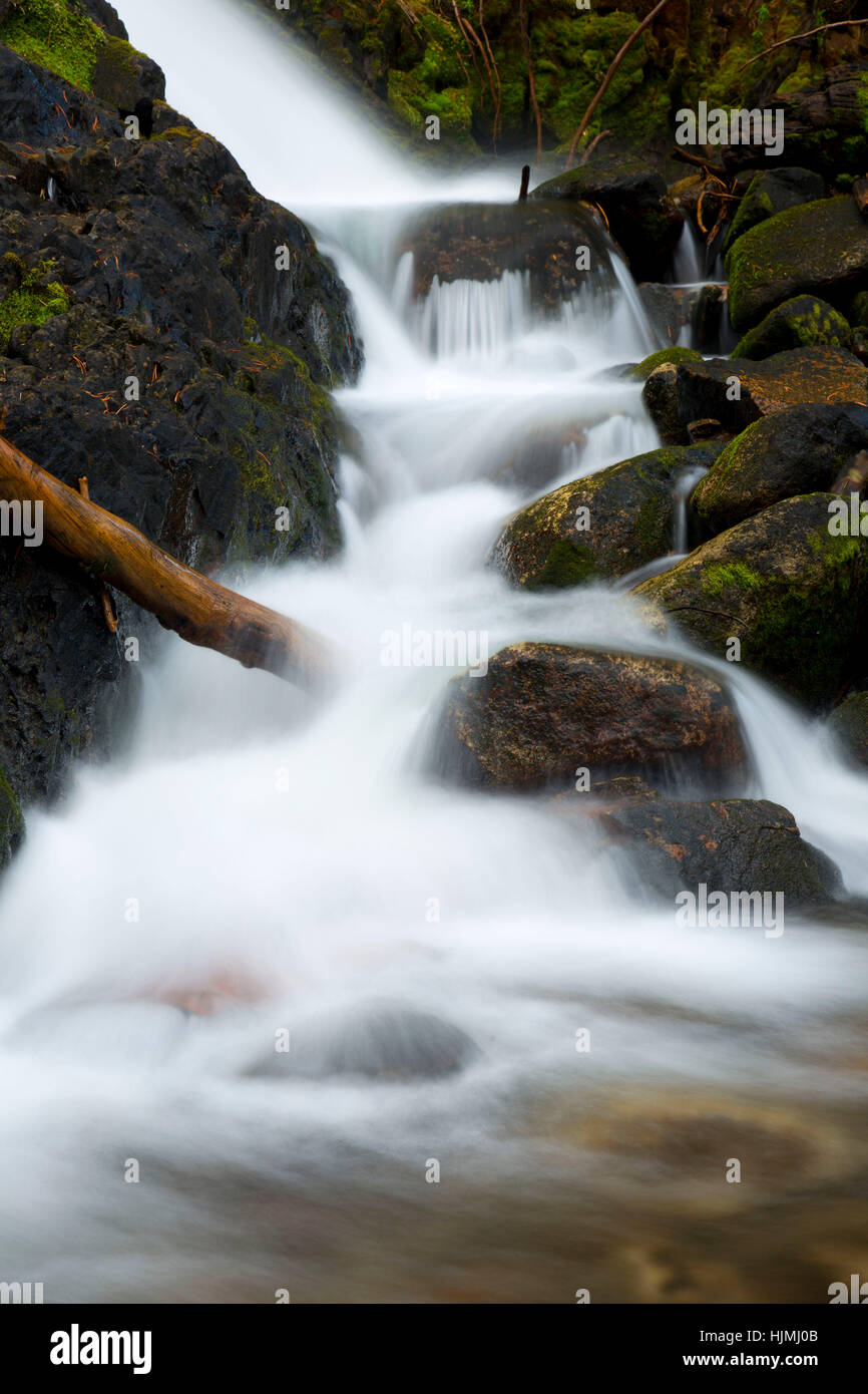 Hunter falls trail hi-res stock photography and images - Alamy