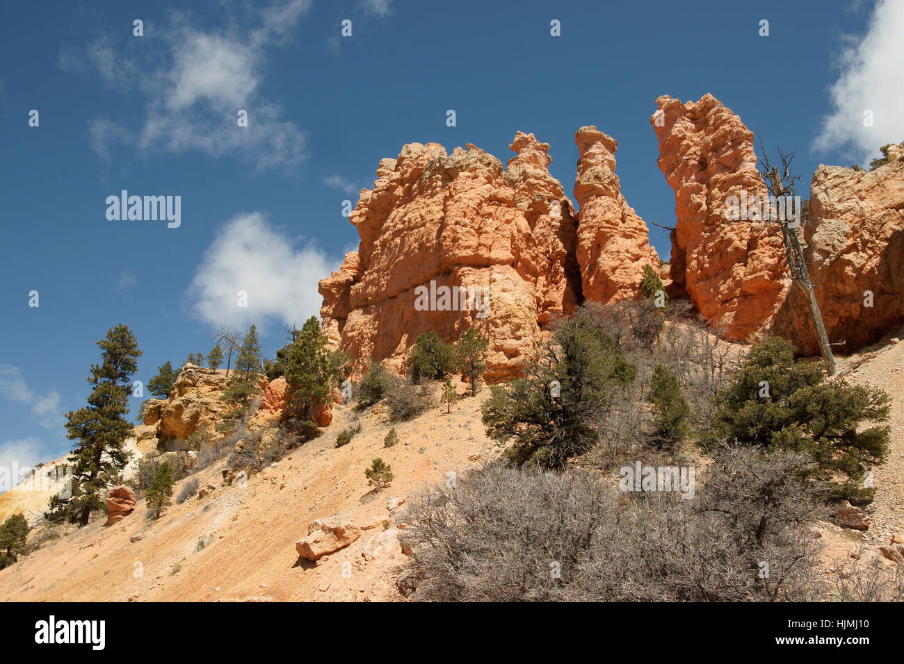 national park, usa, america, tree, trees, desert, wasteland, national ...