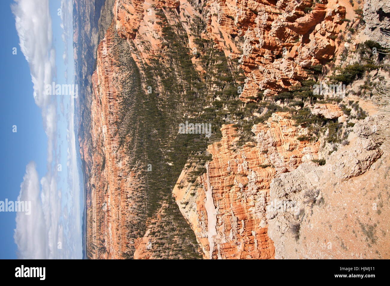 national park, usa, america, amphitheater, amphitheatre, tree, trees ...