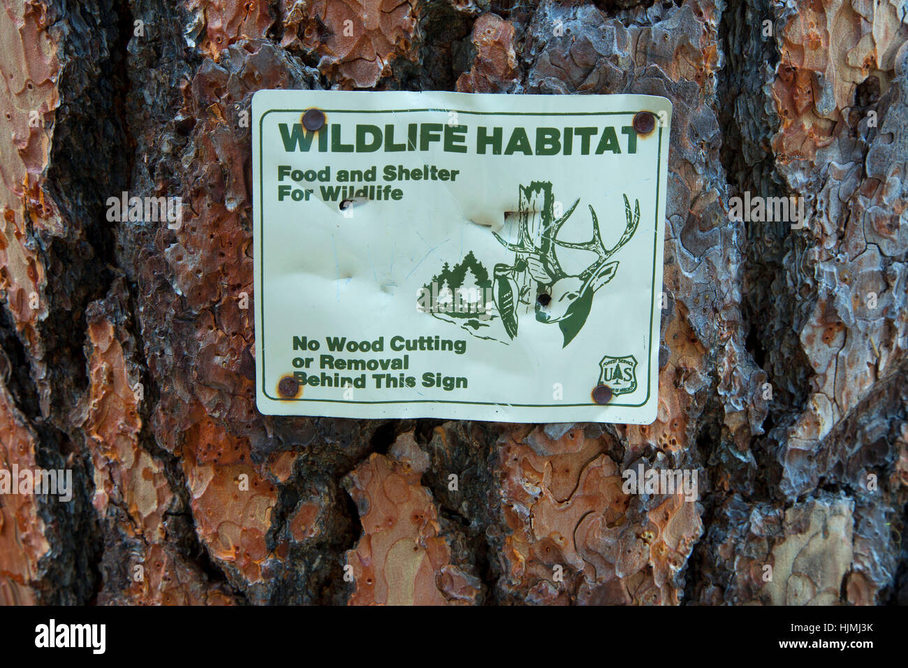 Wildlife Tree sign along Martin Bridge Trail, Eagle Creek Wild and ...