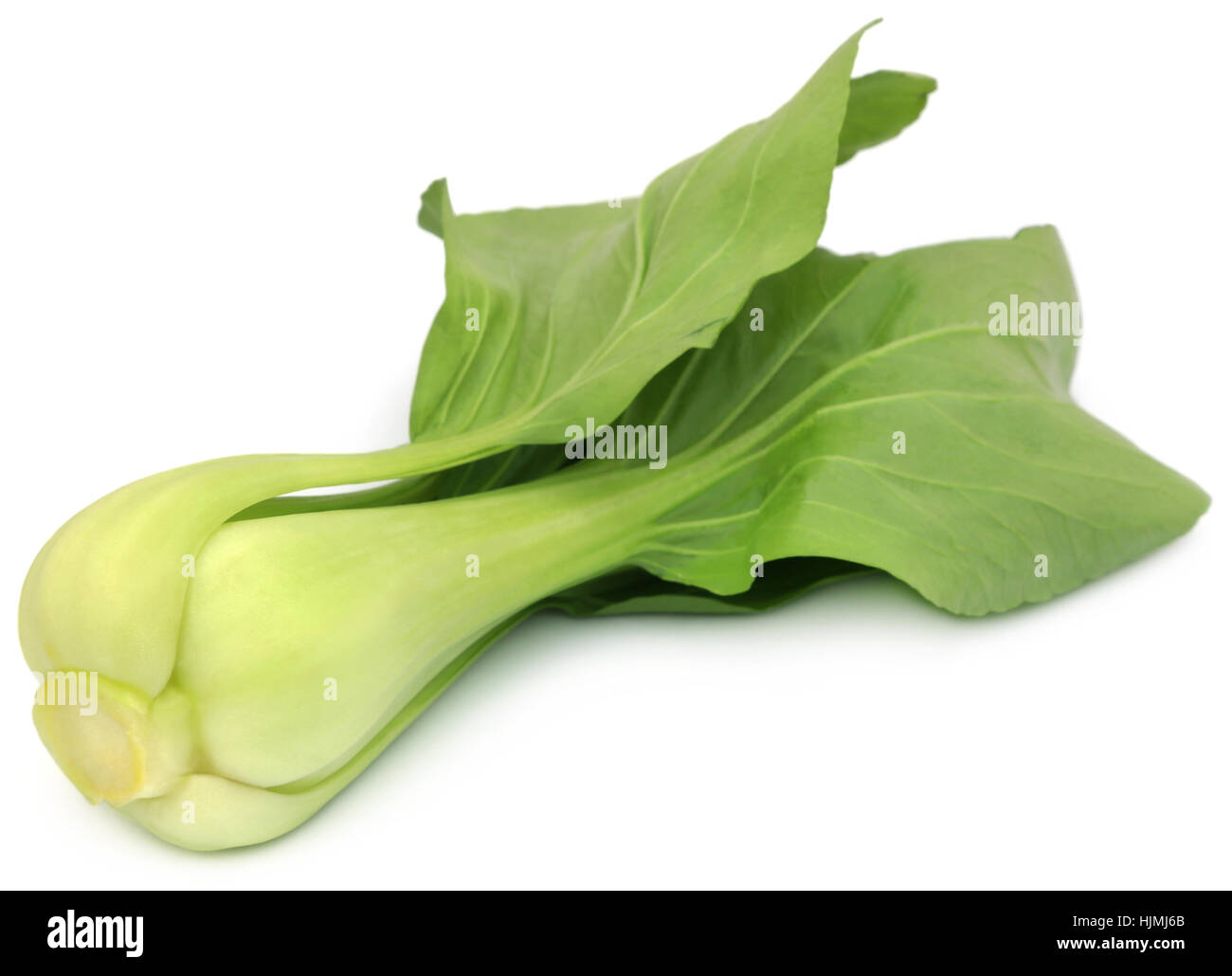 Bok choy plant hi-res stock photography and images - Alamy