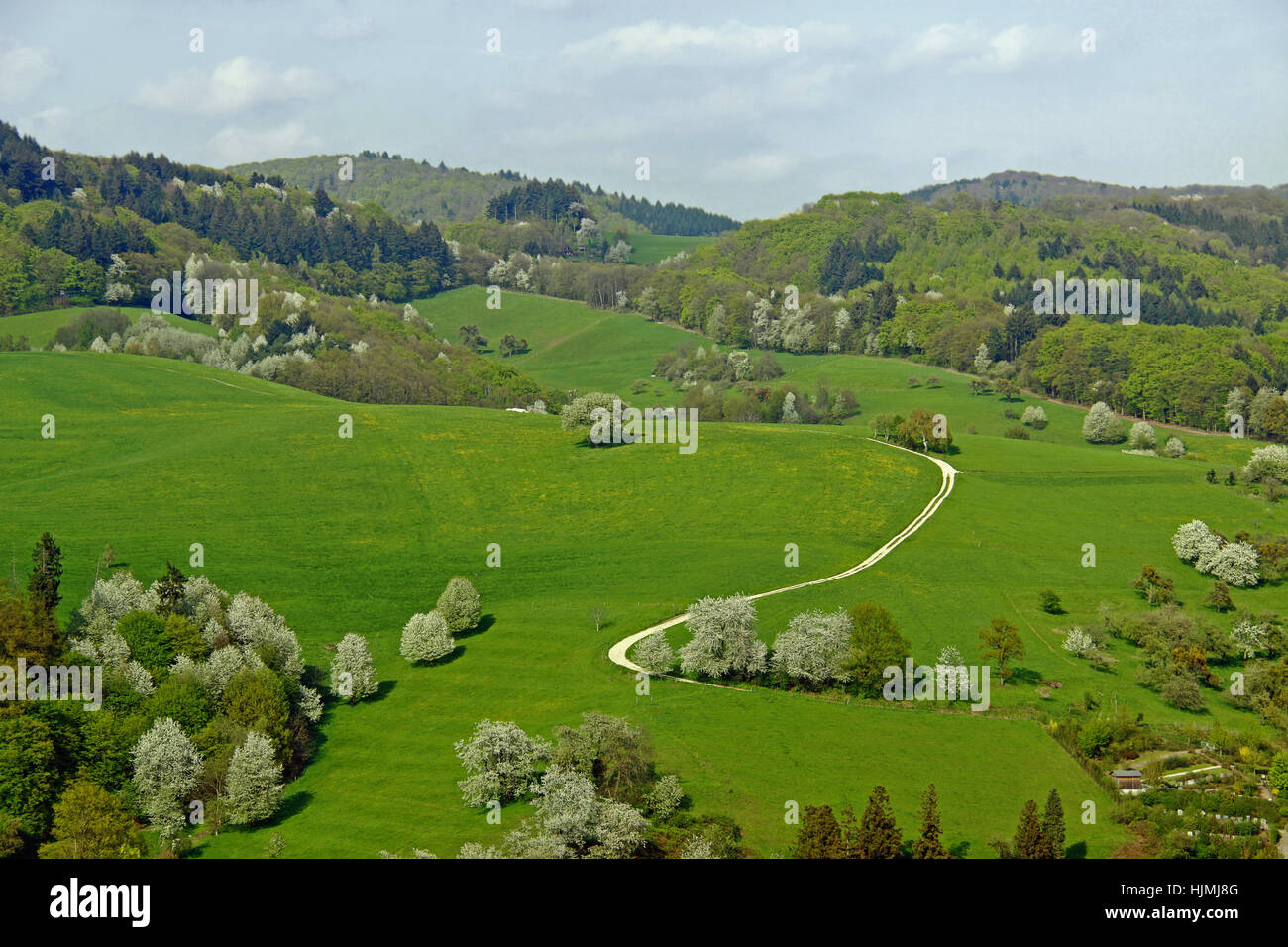 mountain road, habitat, highlands, sloes, corridor, hill, green, bushes ...