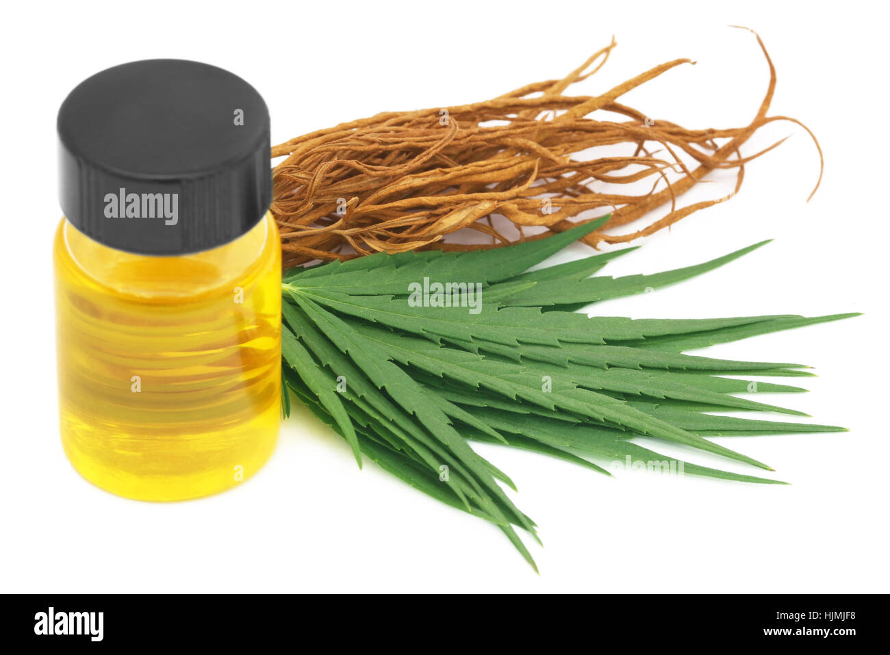 Cannabis plant leaves in Cut Out Stock Images & Pictures - Alamy