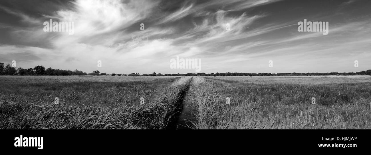 Summer, Hickling Broad, Norfolk Broads, Broads views, Norfolk, England ...