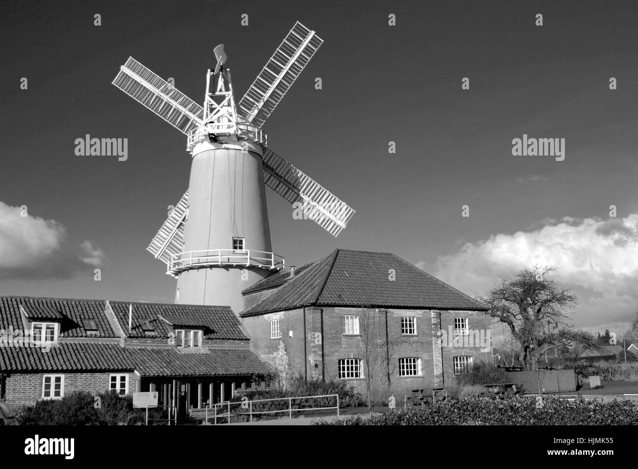 Denver norfolk Black and White Stock Photos & Images - Alamy