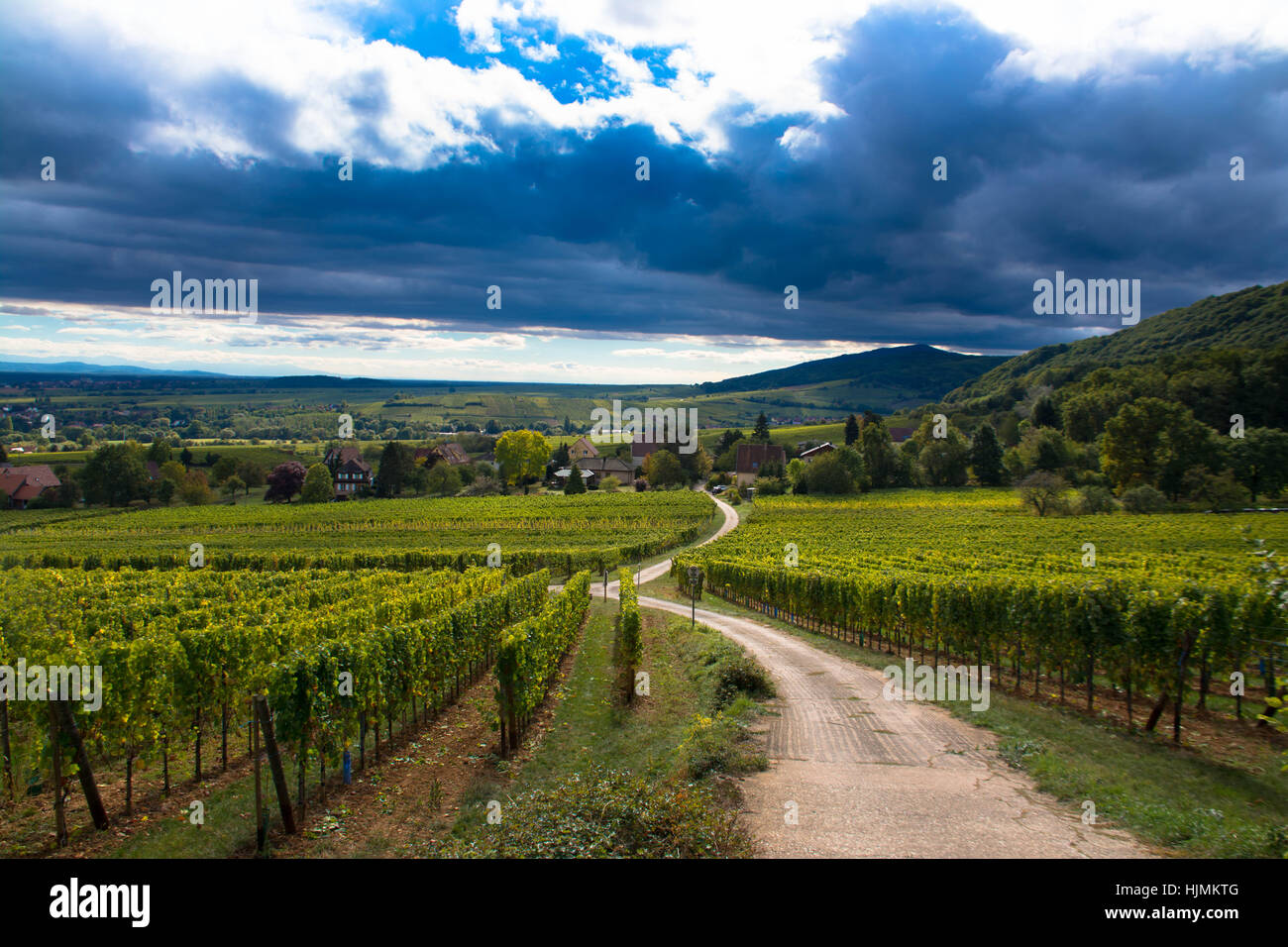 Alsace vineyards vosges mountains hi-res stock photography and images ...
