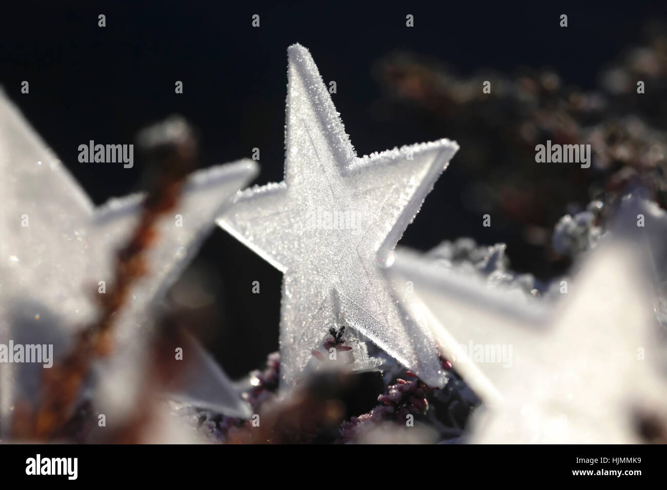 Star and frost hi-res stock photography and images - Alamy