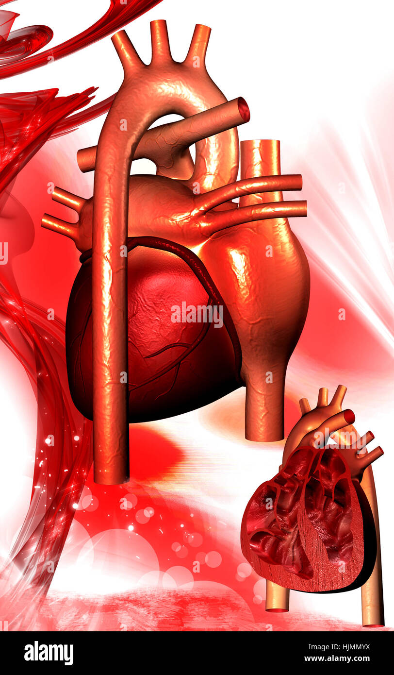 education, health, medicinally, medical, circulation, graphics, colour ...