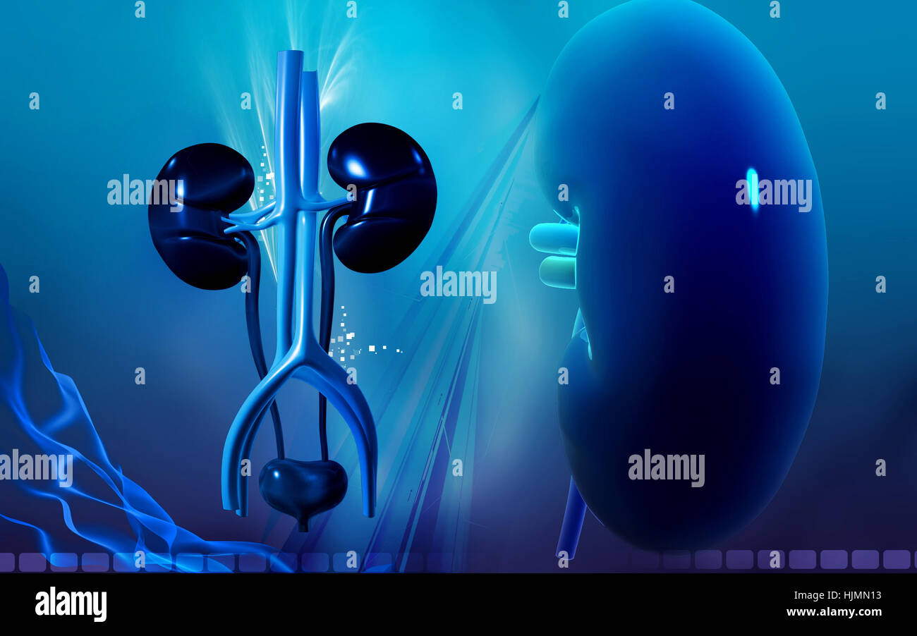 object, education, health, medicinally, medical, graphics, colour ...