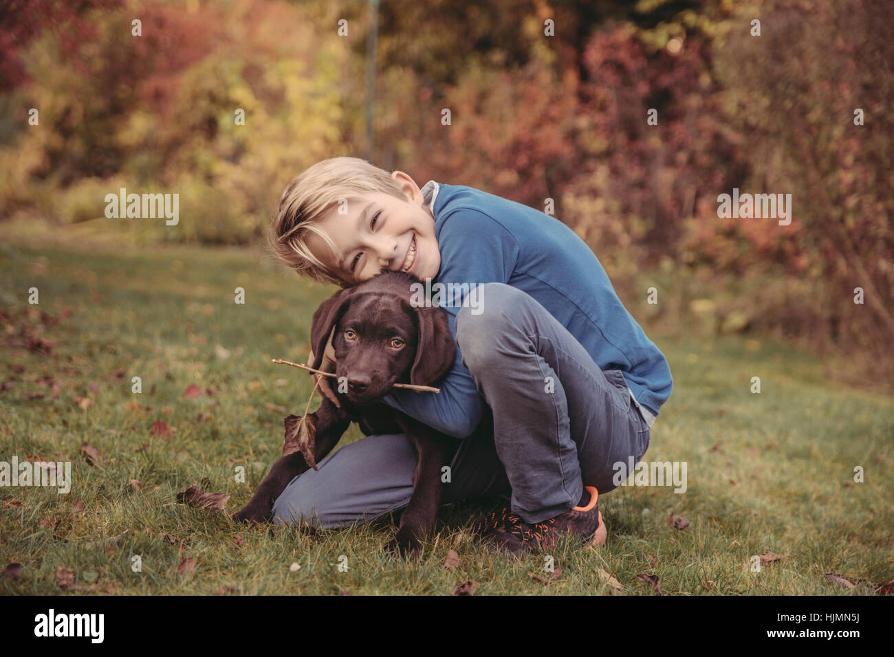 Cute child labrador retriever hi-res stock photography and images - Alamy