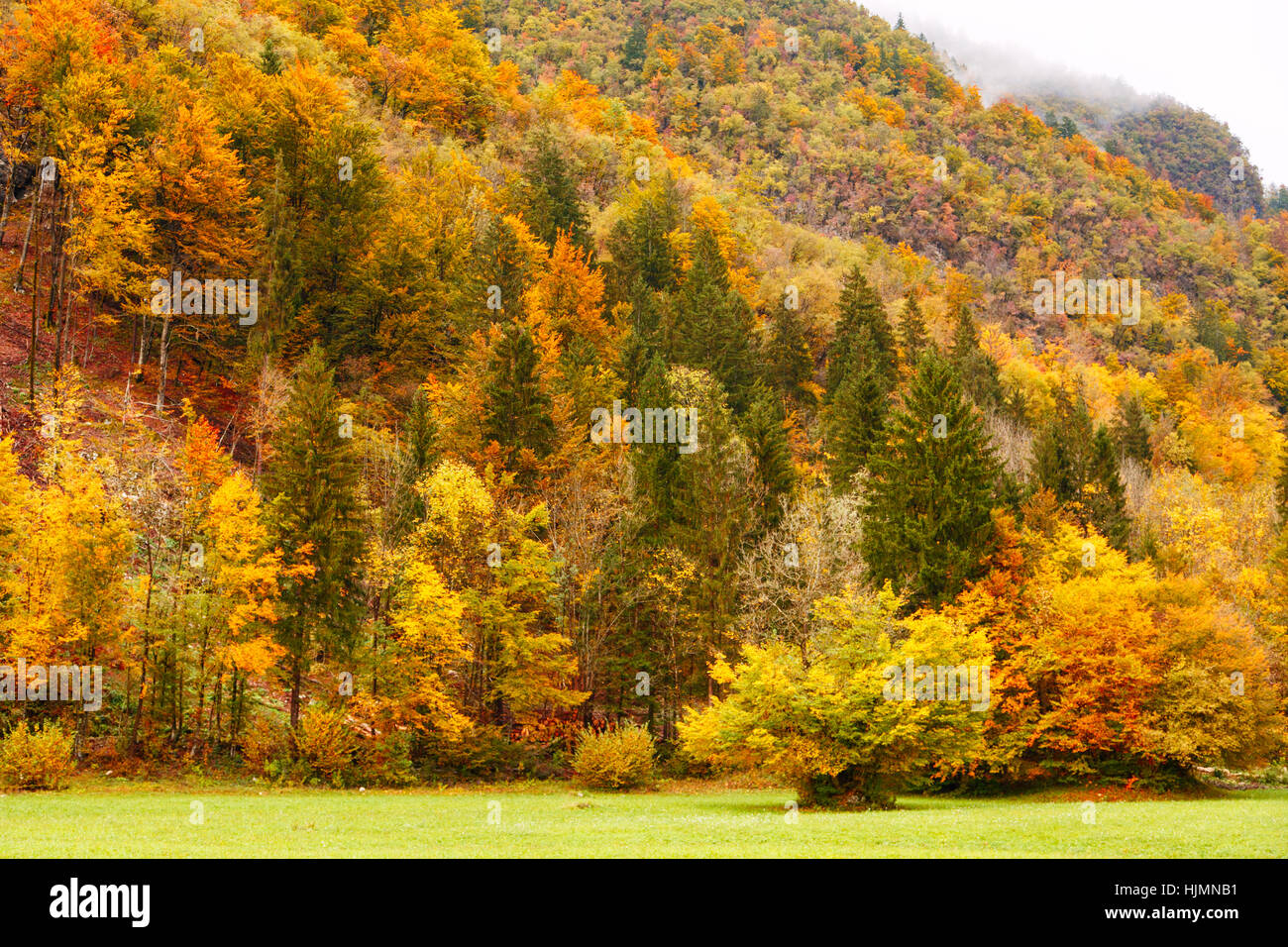 Beautiful fall scene in Julia Alps in Slovenia Stock Photo - Alamy
